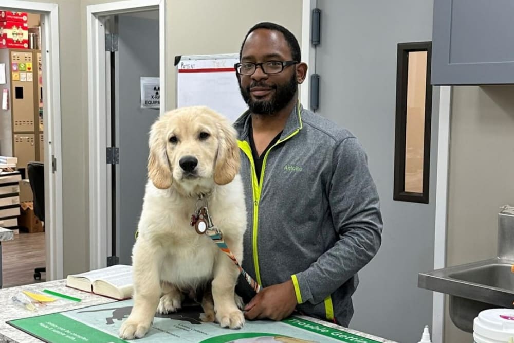 International Recruiting for DVM Careers at PetVet Care Centers