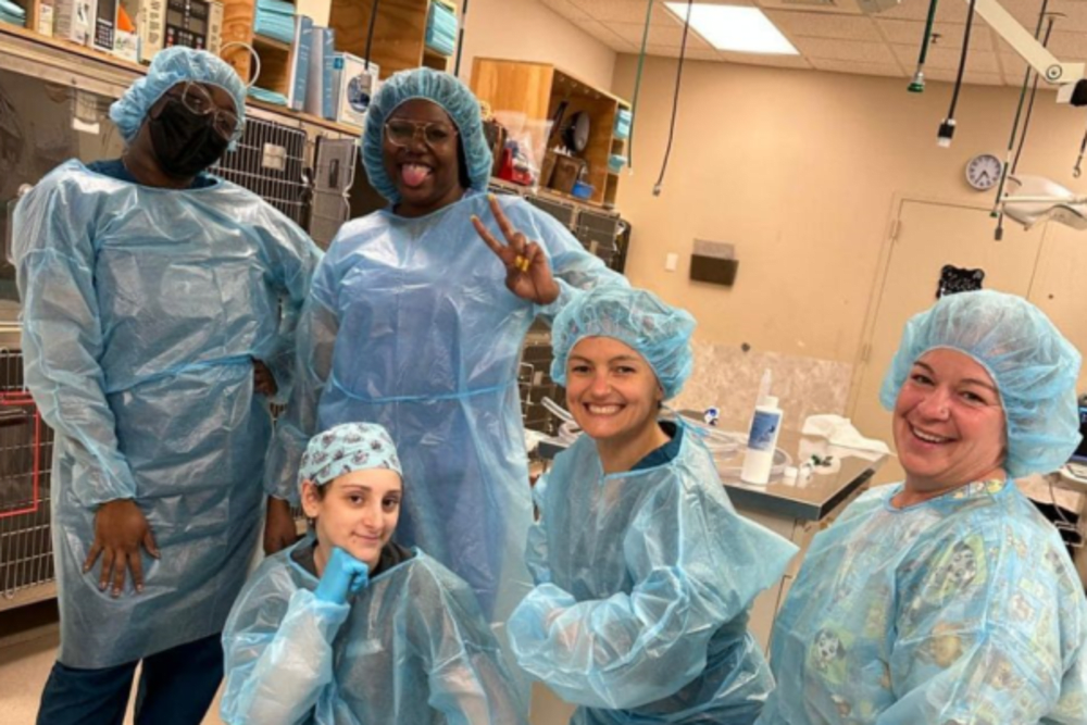 International Recruiting for DVM Careers at PetVet Care Centers